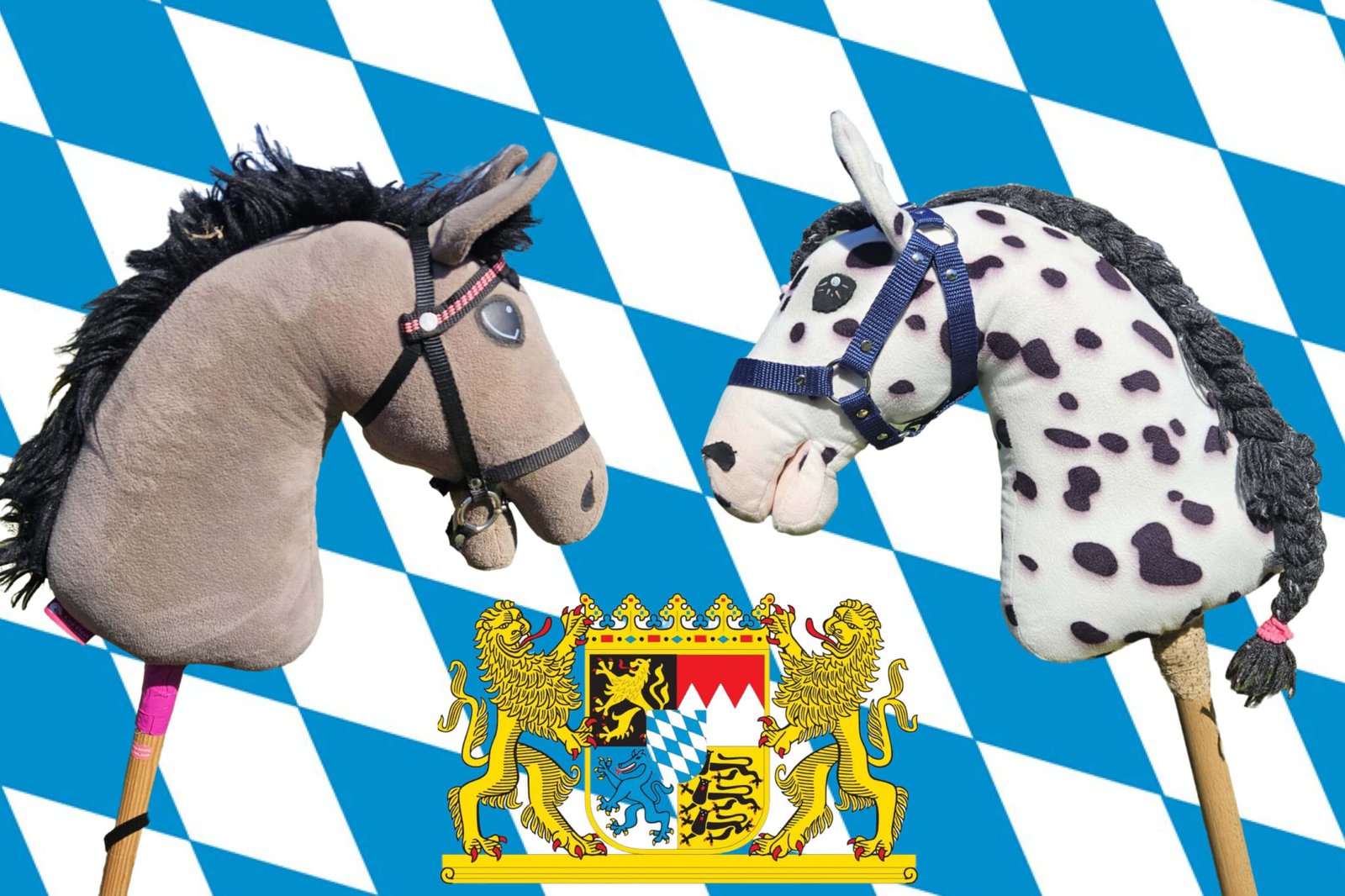 Hobby Horsing Workshops & Schulungen - Hobby Horsing Germany
