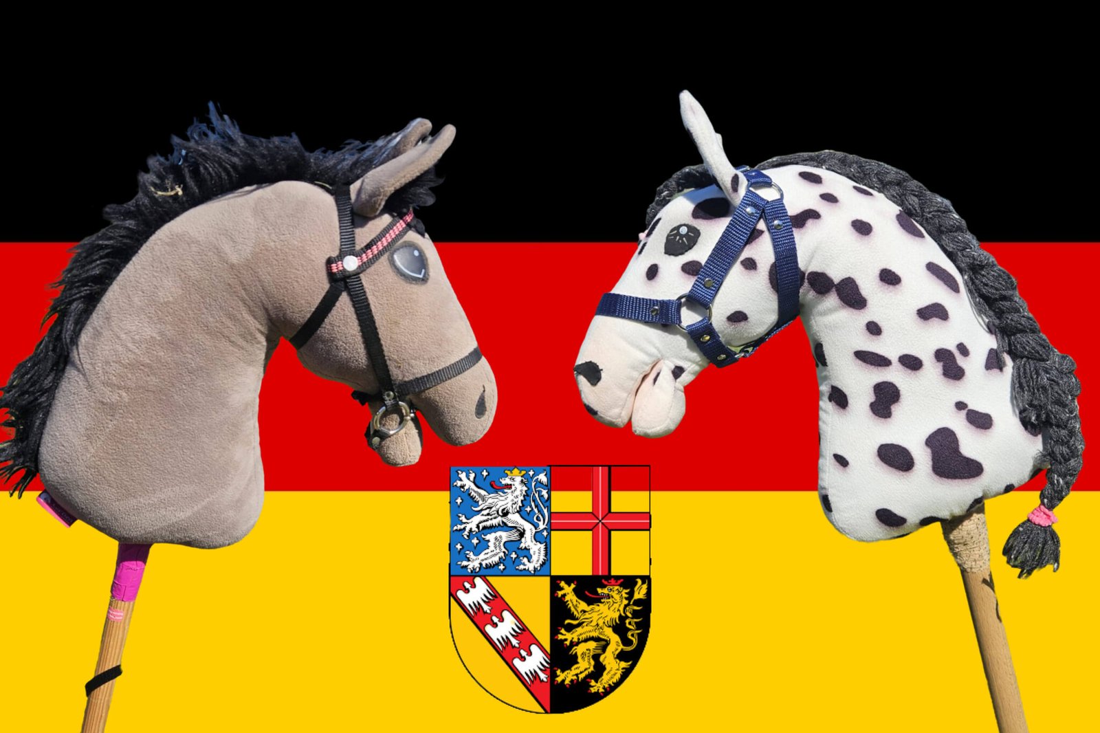 Hobby Horsing Workshops & Schulungen - Hobby Horsing Germany