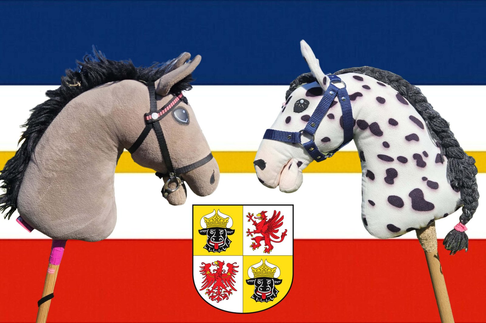 Hobby Horsing Workshops & Schulungen - Hobby Horsing Germany