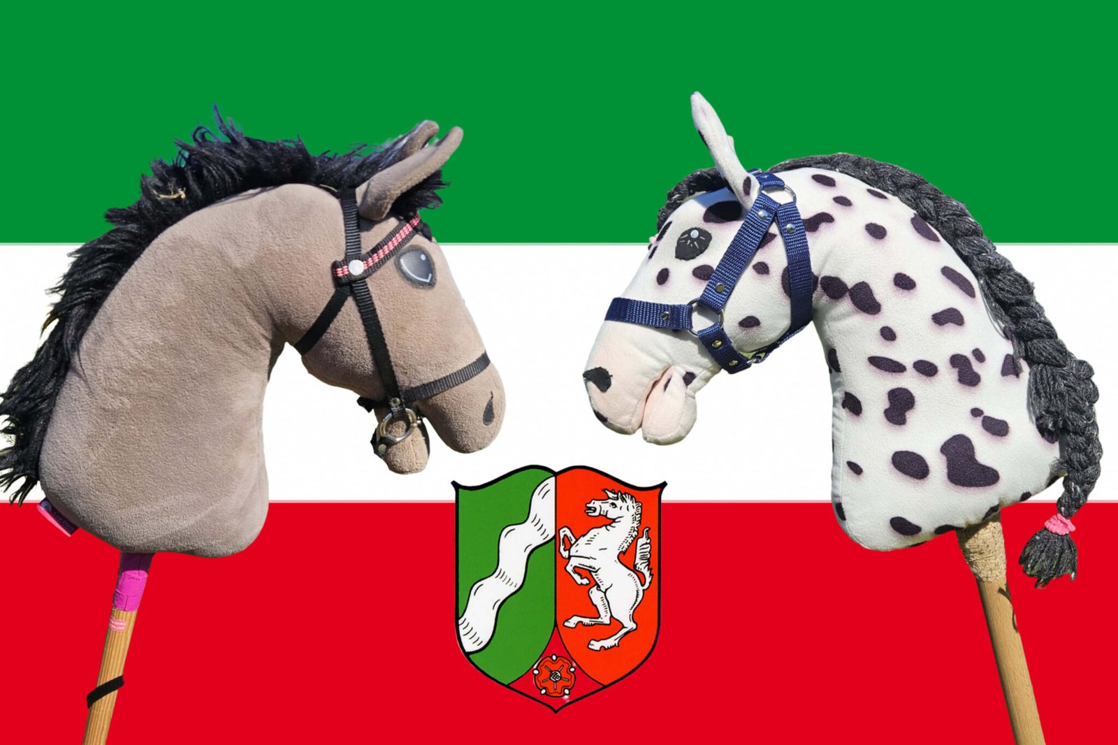 Hobby Horsing Springen: Einstieg in das Springreiten - Hobby Horsing ...