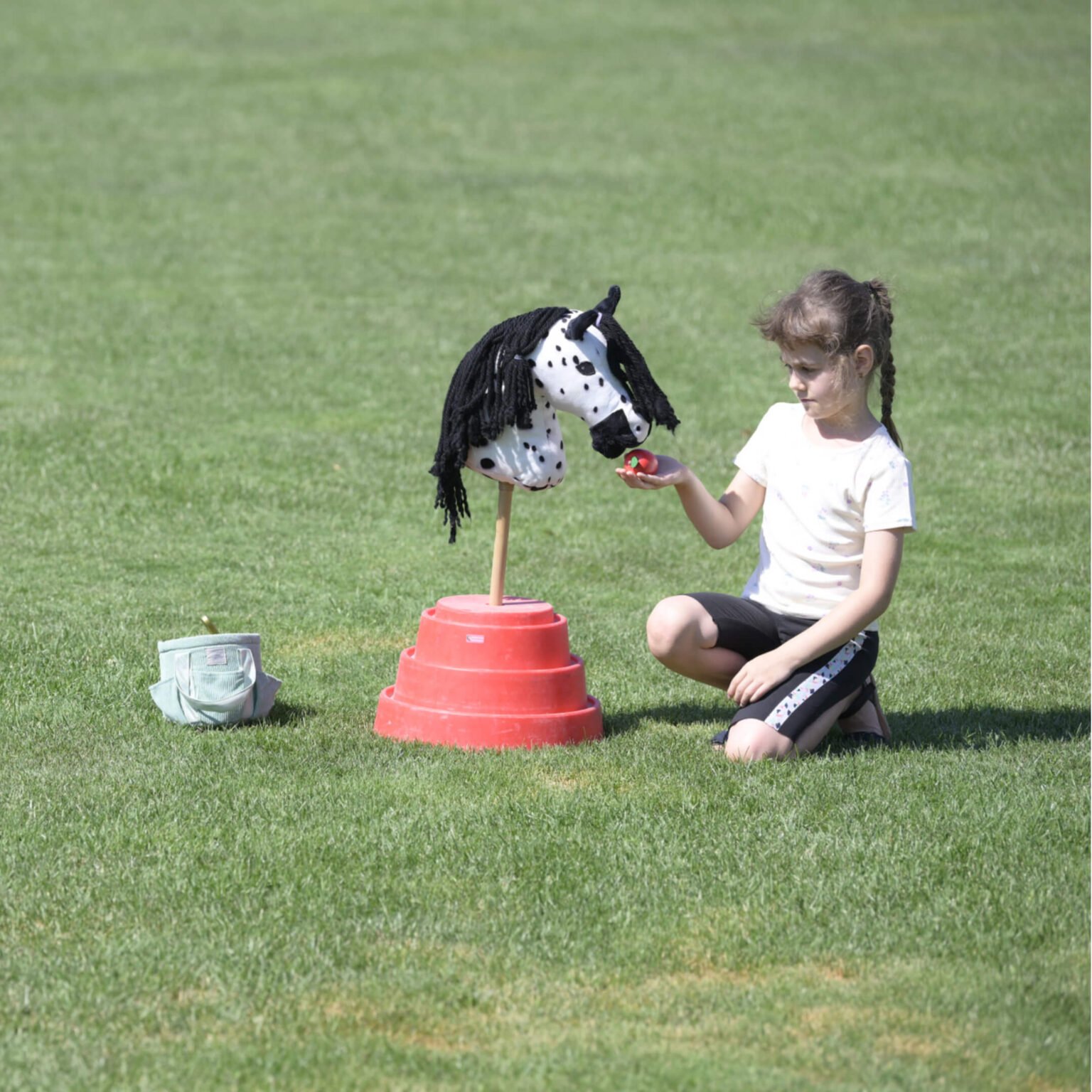 Hobby Horse Online Shop von Hobby Horsing Germany