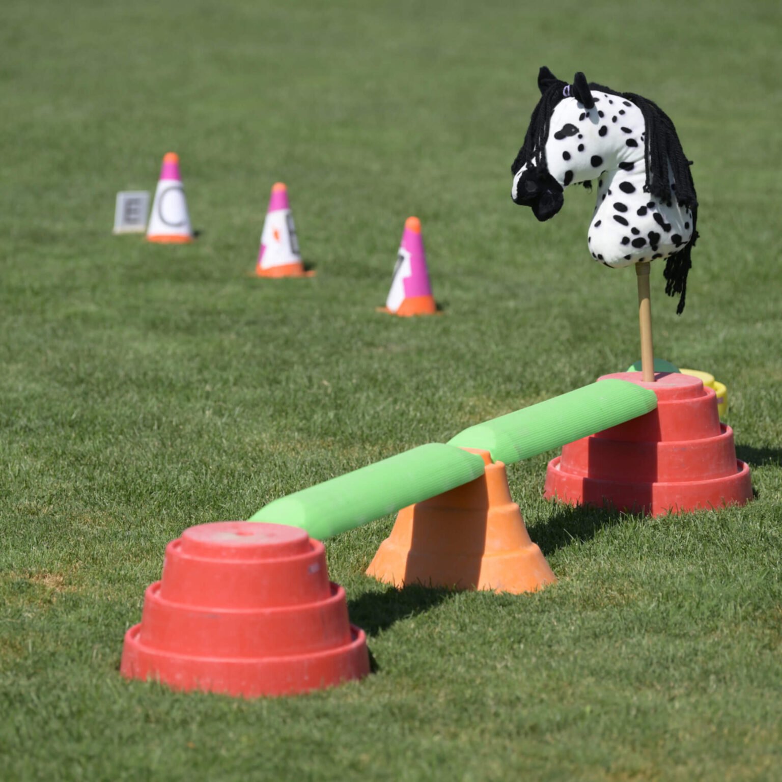 Wie finde ich das richtige Hobby Horse – die Qual der Wahl