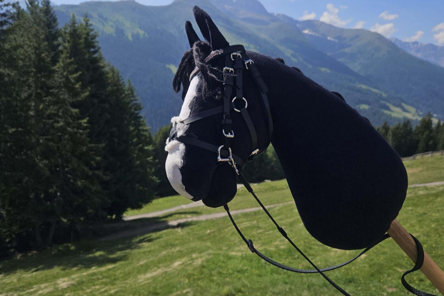 Wie finde ich das richtige Hobby Horse – die Qual der Wahl